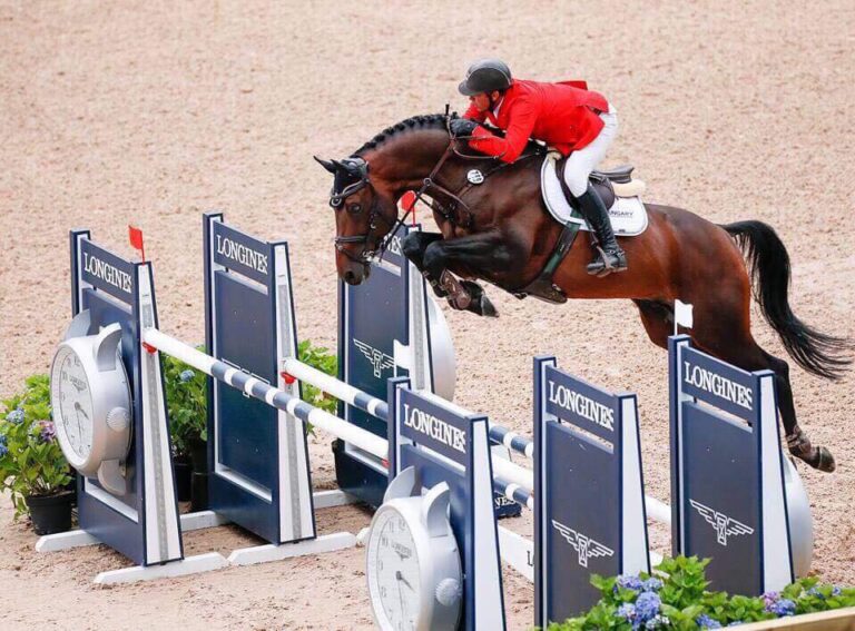 Chacco Blue II - Genesi Stalloni