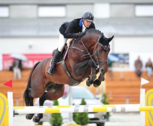 Chacco Blue II - Genesi Stalloni